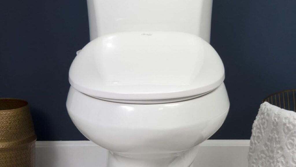 Bio Bidet BB550 Low Profile Electric Bidet Toilet Seat Review - the ...